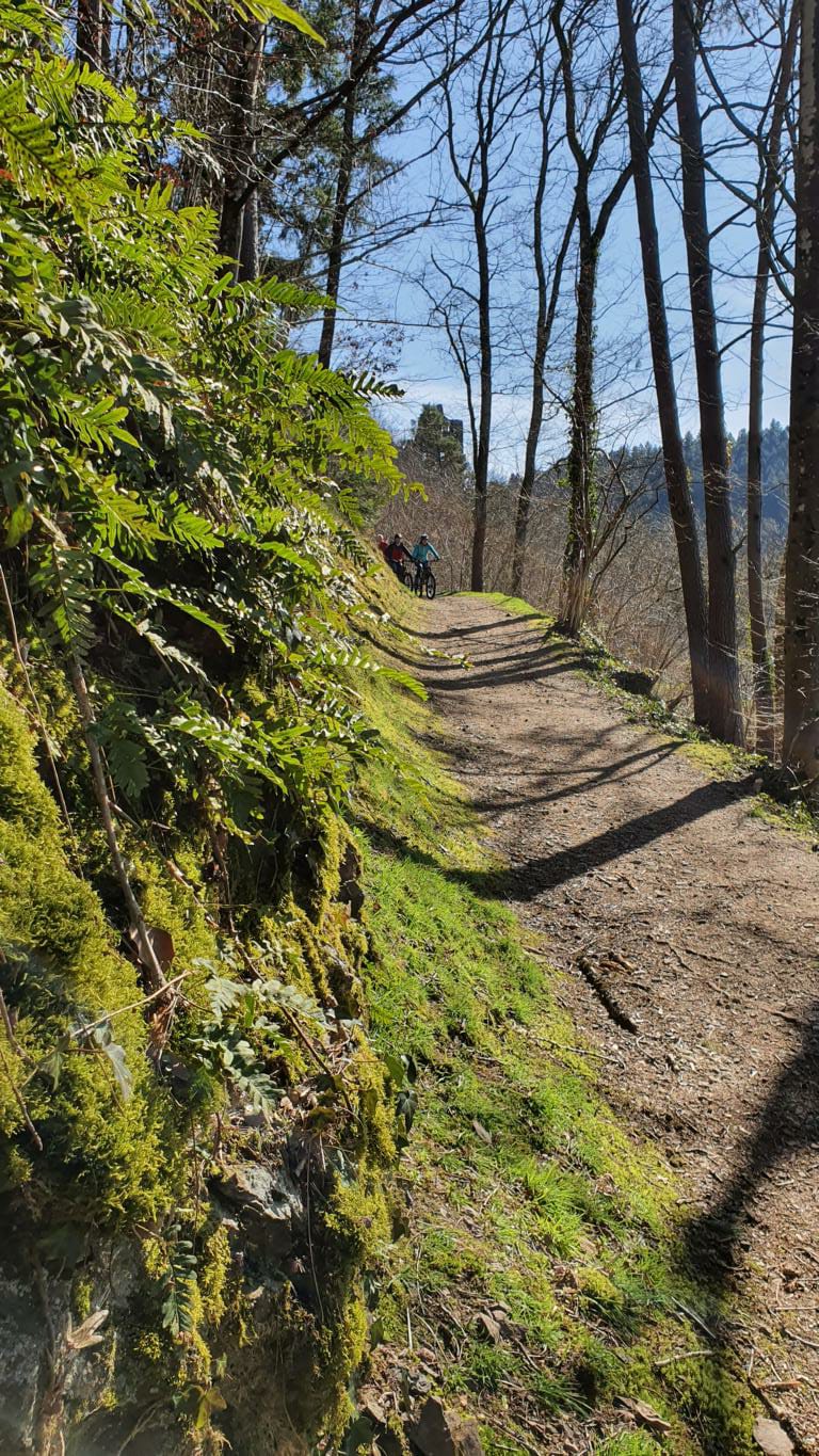 Kinzigtal-Radweg | Schwarzwald Lounge