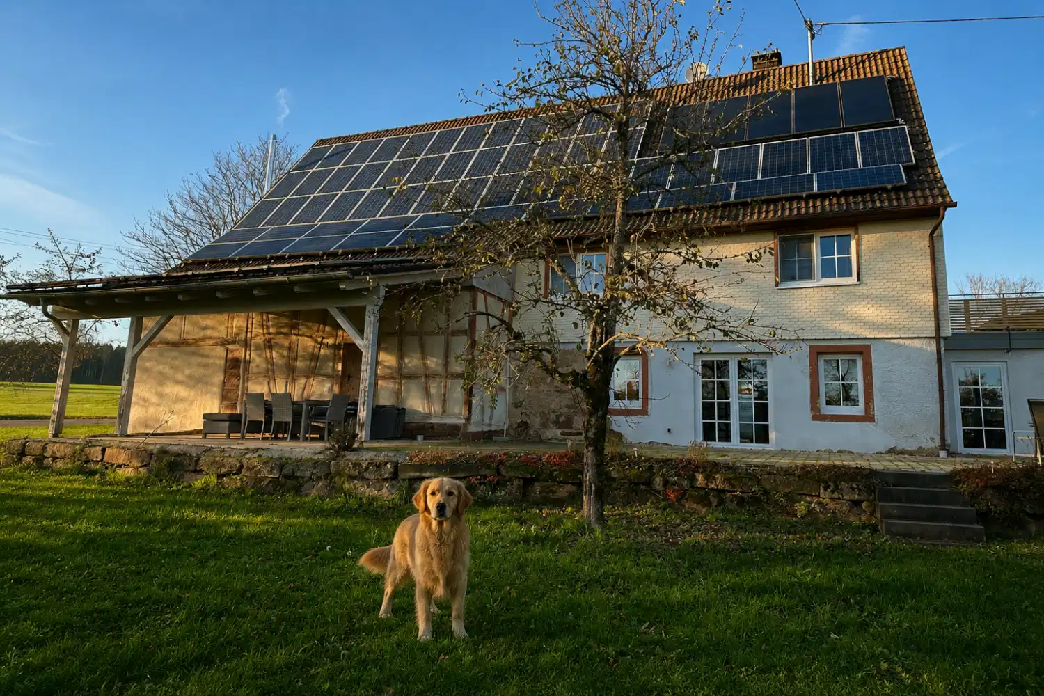 Urlaub Mit Hund Schwarzwald Ferienhaus Eingezaunt